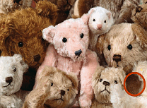 ANIMALE DE PLUS STELE ASCUNSE - JOCURI DE INDEMANARE