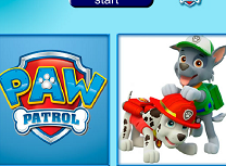 CHASE DE COLORAT - JOCURI CU PATRULA CATELUSILOR