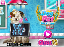 STAN ESTE RANIT - JOCURI CU CATELUL BLOGGER