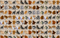 MAHJONG CU CAINI - JOCURI MAHJONG