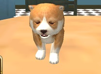 SIMULATOR DE CAINI - JOCURI CU CAINI