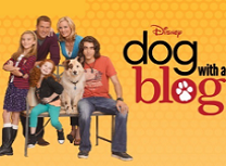 JOCURI CU CATELUL BLOGGER - ajocuri.ro