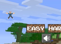 FLOPPY CRAFT - JOCURI MINECRAFT